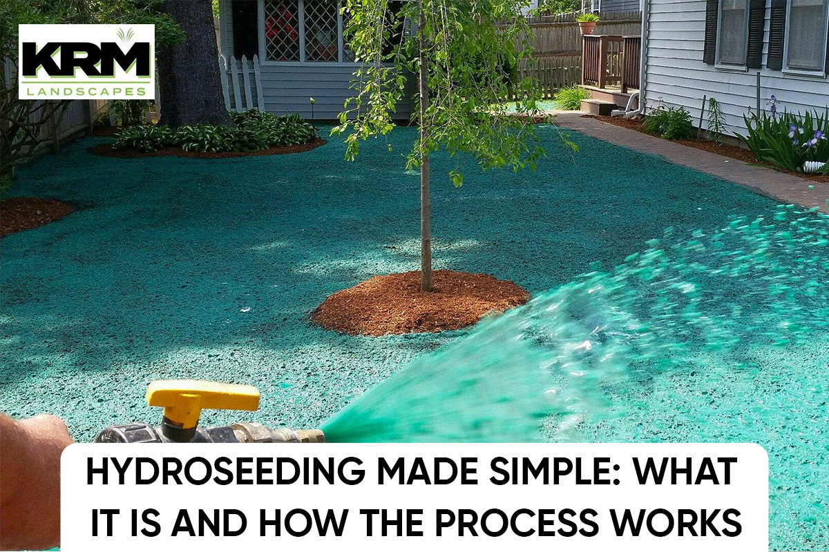 Hydroseeding Made Simple: What It Is and How the Process Works - KRM ...